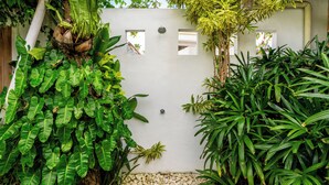 Um jardim exuberante com diversas plantas tropicais, uma parede branca com pequenas janelas e um caminho de pedra.