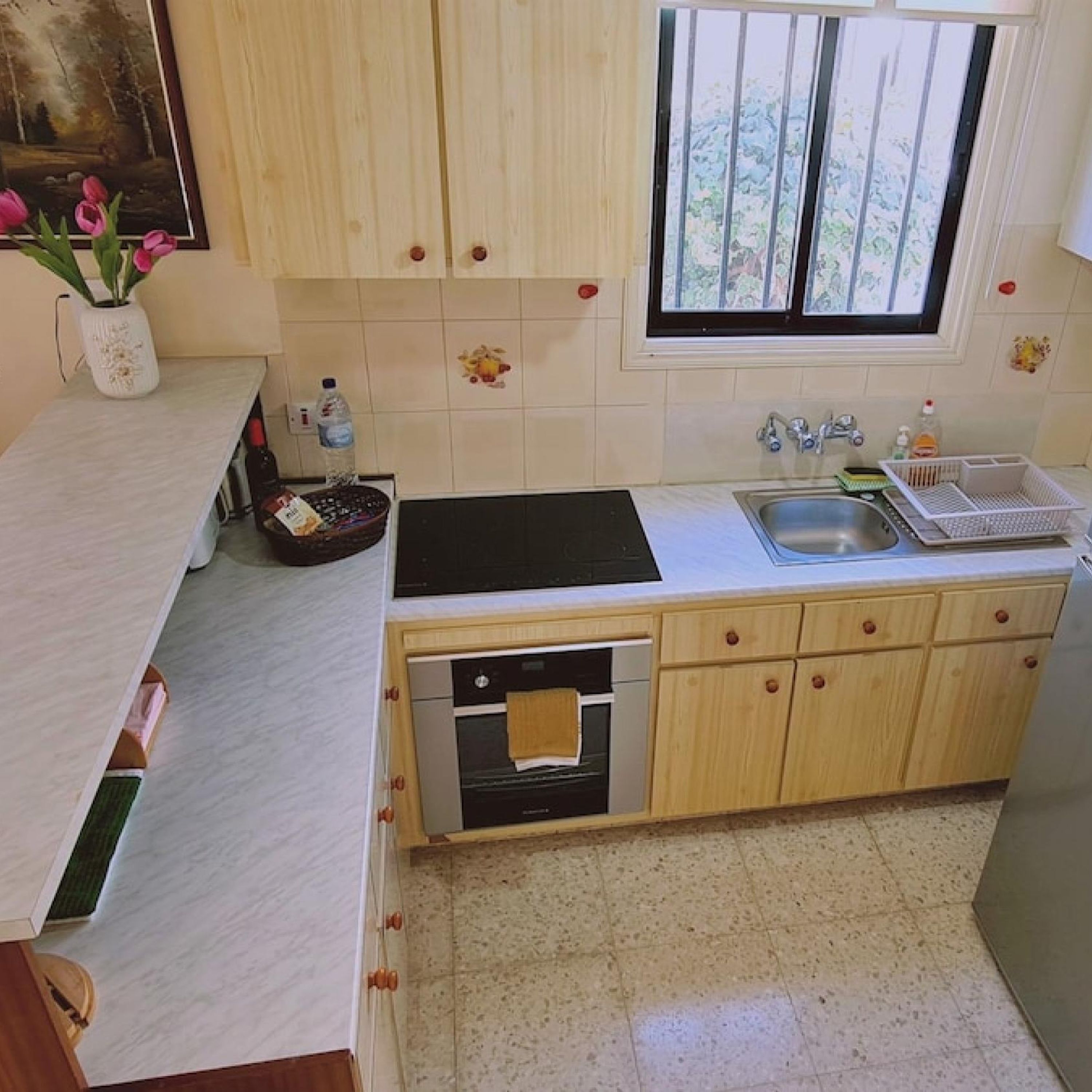 Cozinha compacta com armários de madeira, pia, lava-louças e janela com vista para o verde.