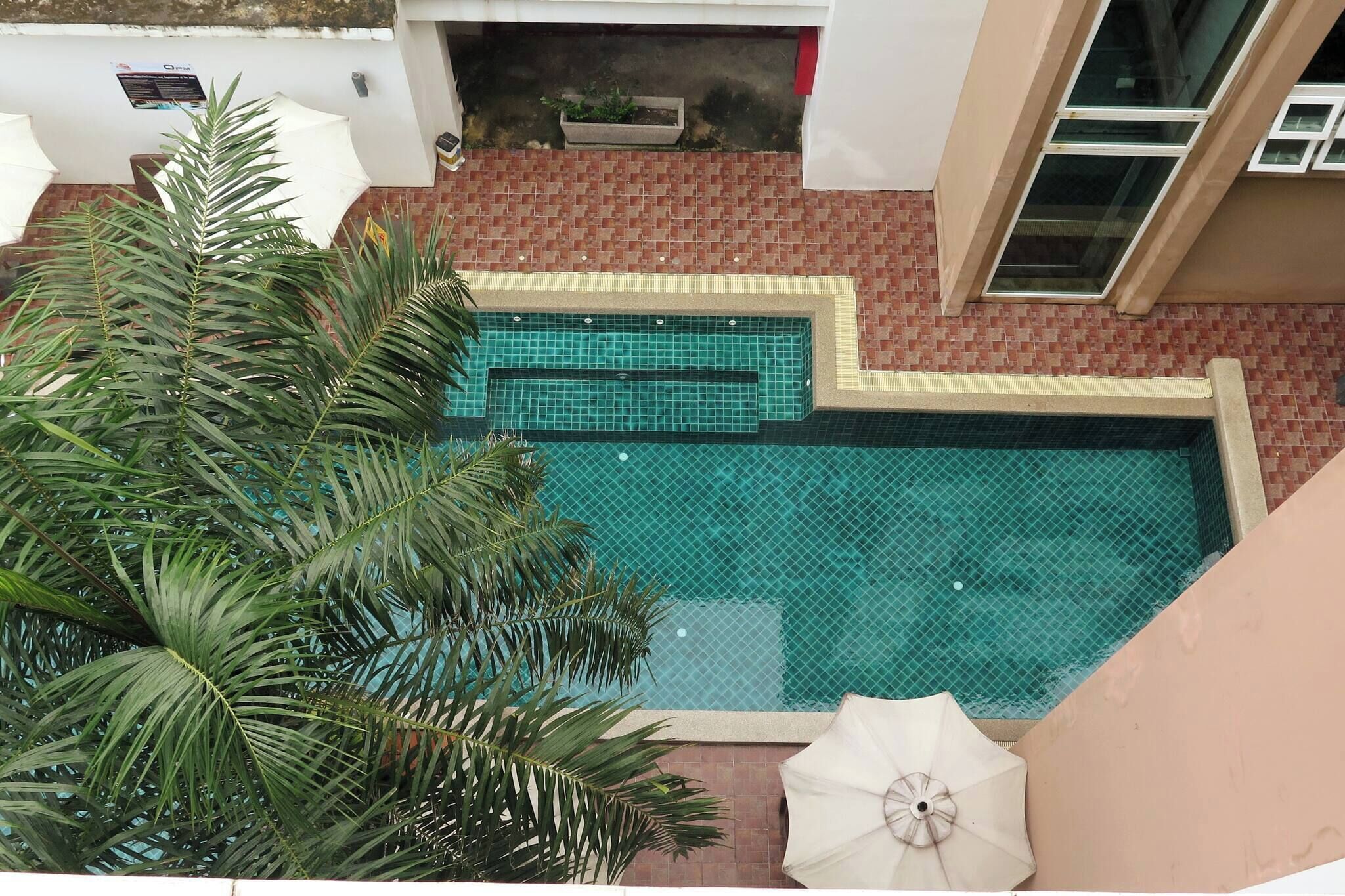Uma piscina com deck revestido de azulejos, cercada por um muro branco e uma palmeira.