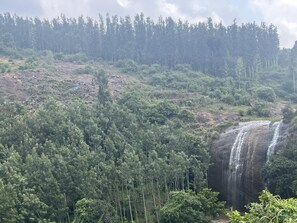 Uma cascata em meio a floresta densa.