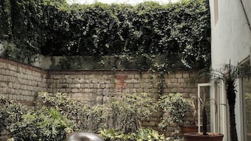 Jardim