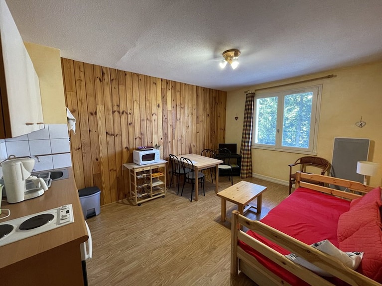 Agréable T2 Au Pied Des Pistes Avec Piscine Estivale, Parking, Et Animaux Bienvenus - Vic-sur-Cère