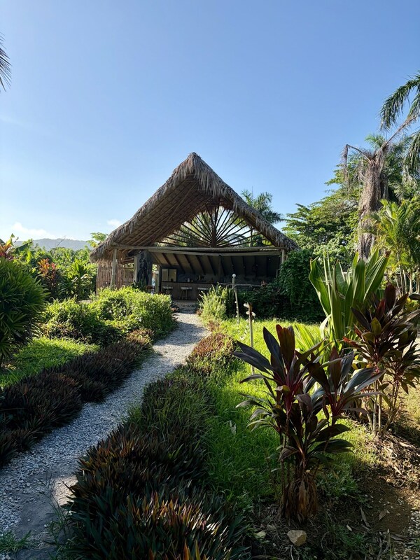 Dominican Jungle Resort - Dominica
