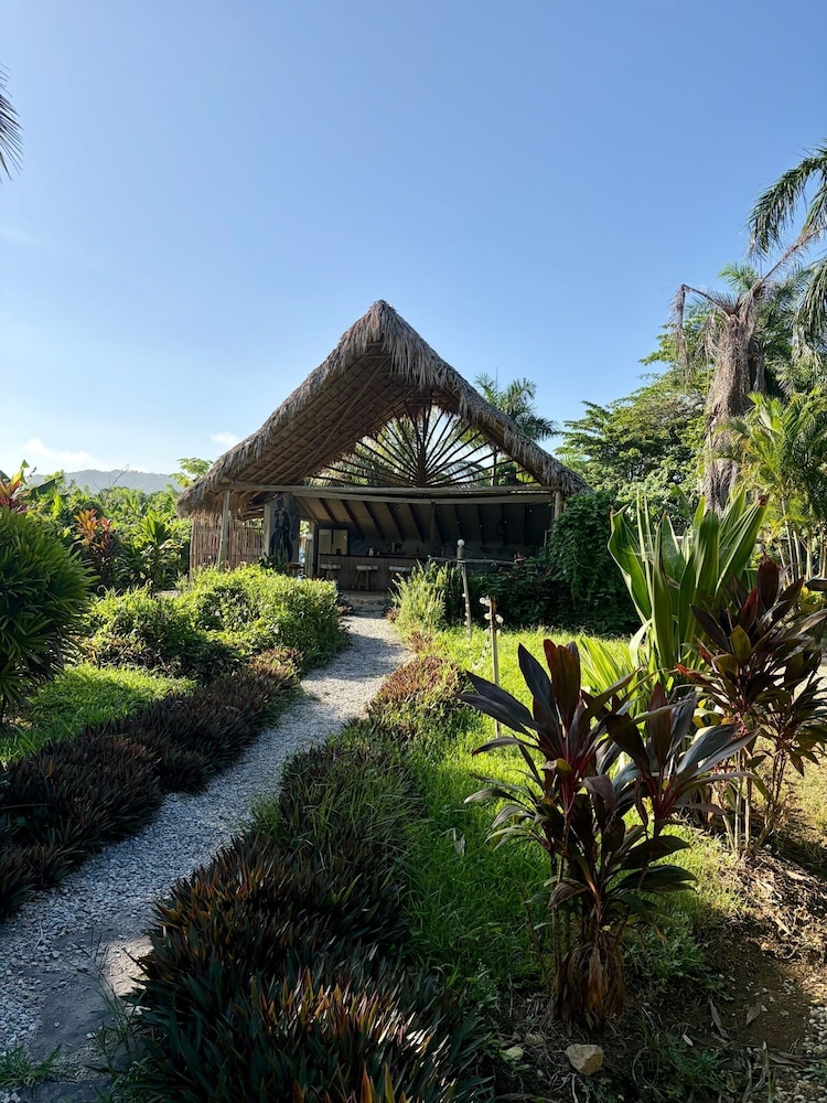 Dominican Jungle Resort - Dominican Republic