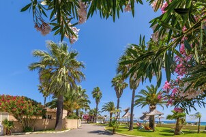 Rua ensolarada bordeada por palmeiras e flores cor-de-rosa, que leva a uma área de praia com espreguiçadeiras e guarda-sóis.