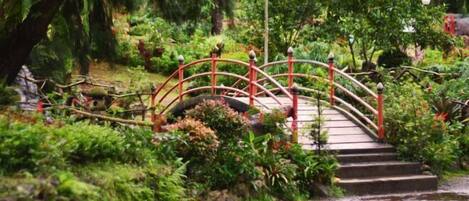 Área da propriedade