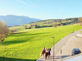 Uma estrada rural com um campo verde e casas ao fundo.