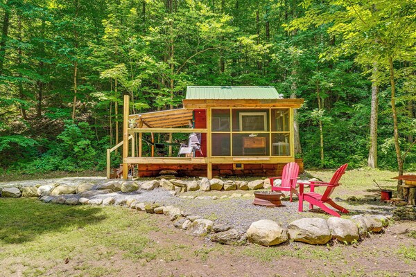 Solar-powered Brandon Studio Cabin: Hiking Access - Half Moon Pond State Park, Hubbardton