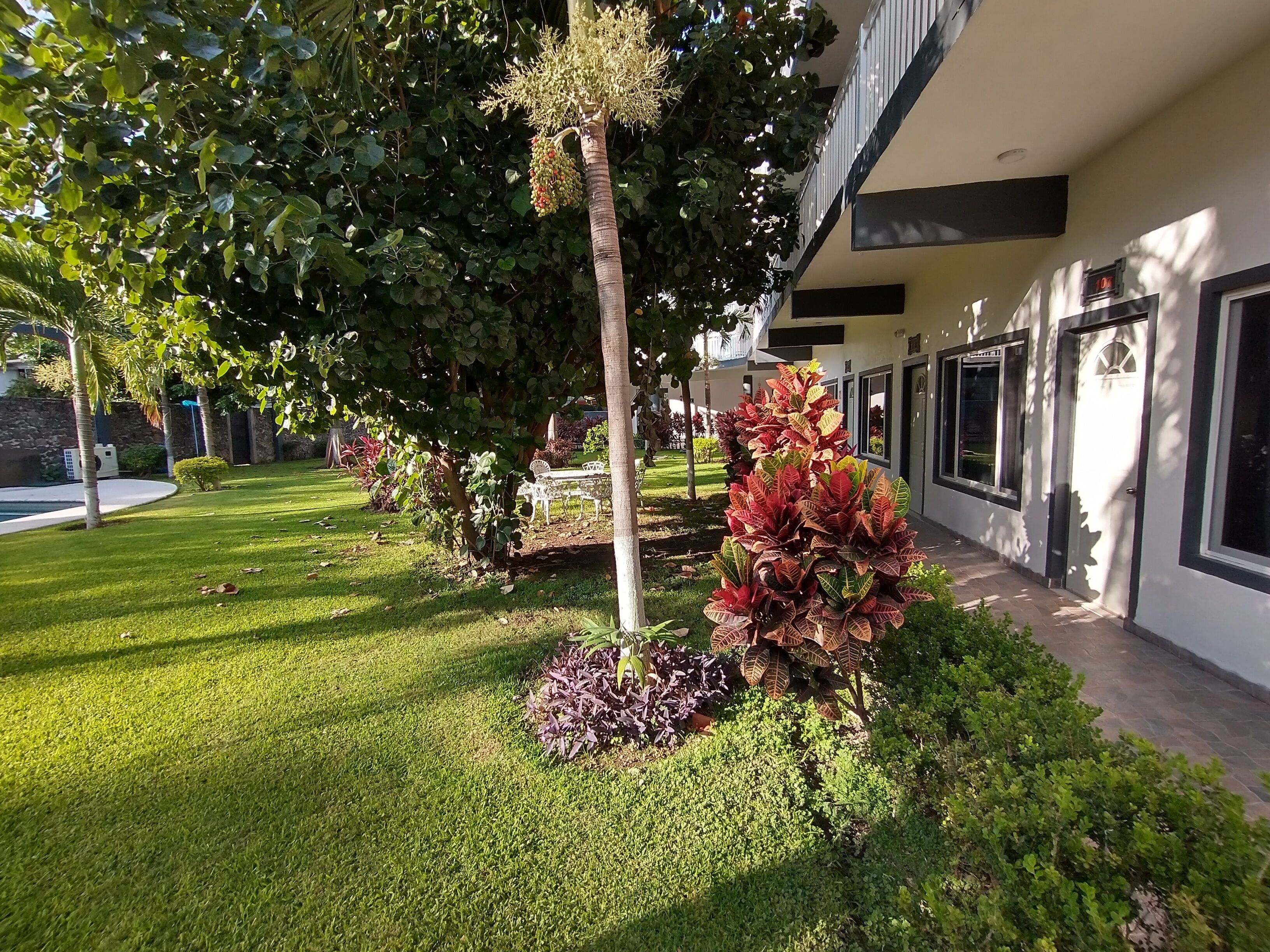Um jardim bem cuidado com diversas plantas e um caminho que leva a um edifício.