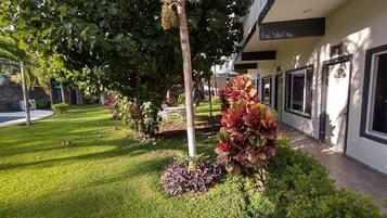 Um jardim bem cuidado com diversas plantas e um caminho que leva a um edifício.