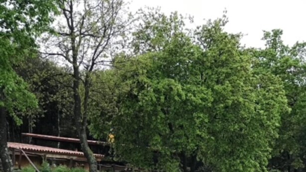 Um jardim com baloiço, um banco de pedra e uma pequena escadaria que sobe uma colina.