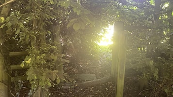 Cabana | Área da propriedade