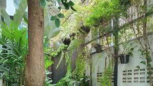 Um jardim com um banco, diversas plantas e uma árvore.