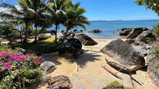 Uma praia com pedras grandes, palmeiras e uma vista clara do oceano.