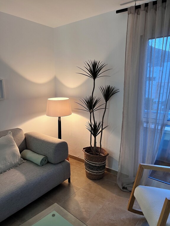 Bambúcarboneras - Carboneras