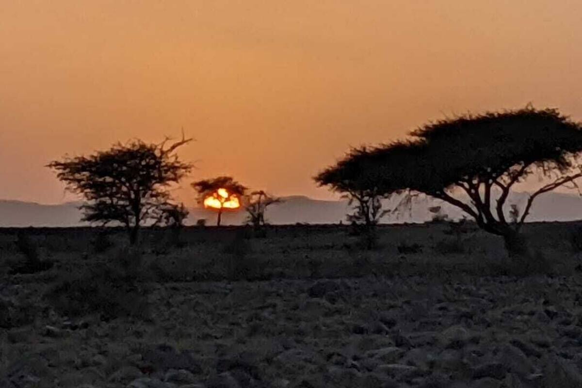Um pôr do sol sobre uma paisagem de savana com árvores esparsas e horizonte limpo.