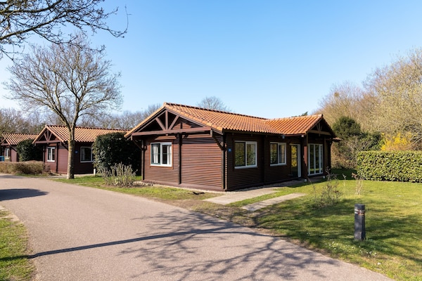 Bungalow In Veluwe Near Harderwijk - Putten