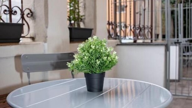 Uma mesa dobrável de metal com um vaso de planta, um banco e um portão de metal ao fundo.