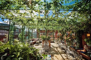 Pequeno-almoço completo diário (20 GBP por pessoa)