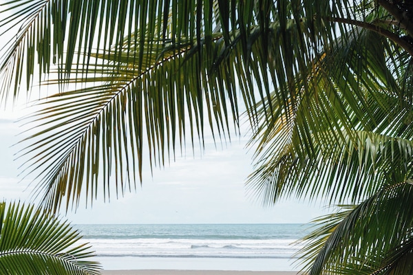 Área para churrasco/piquenique