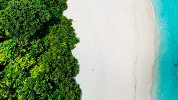 Vista aérea de uma praia com areia branca e vegetação verde densa.
