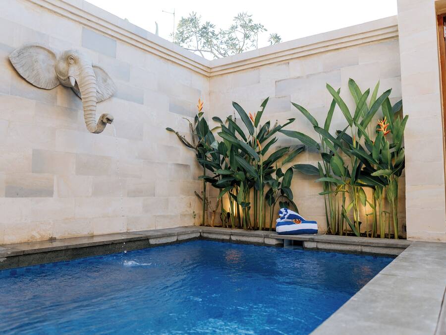 Uma piscina com parede de pedra e escultura de cabeça de elefante.
