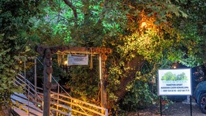 Um arco de madeira com uma placa de 'Welcome', uma escadaria de madeira e uma placa de informações sobre o parque.