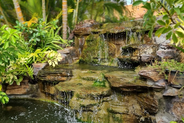 Jardim