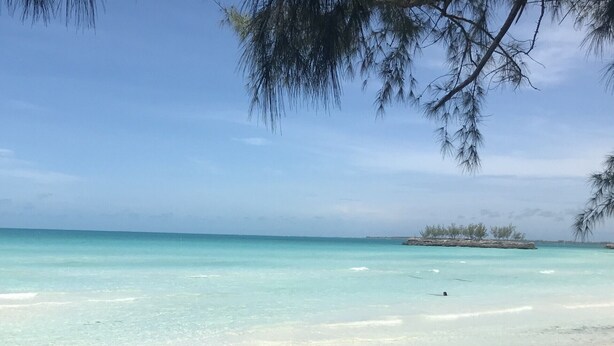 Uma praia com águas turquesa cristalinas, areal arenoso e algumas árvores ao primeiro plano.