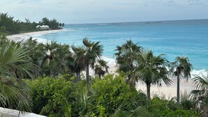 Uma praia com palmeiras e vista para o oceano.