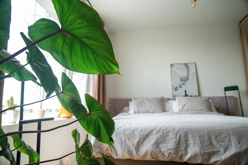 Rooftop Loft With Sauna - Schilde