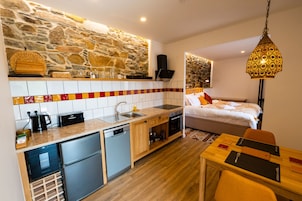 Suite-Estúdio de Luxo, vista para o rio | Kitchenette privada | Um forno, uma placa de cozinha, uma máquina de lavar louça 