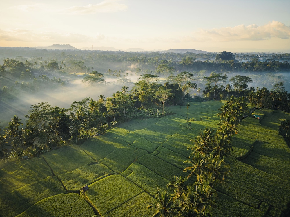 Ubud Mas Glamping Luxury Tent - Bali