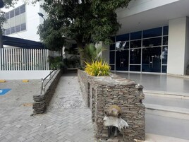 Entrada de um edifício moderno com um vaso de pedra, guarda-corpo de metal e uma árvore.