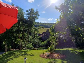 Um jardim com um guarda-sol vermelho, uma pequena árvore e um poste de luz.