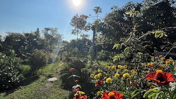 Área da propriedade