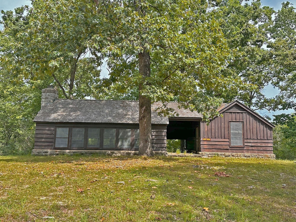 Pin Oak - Osage Beach