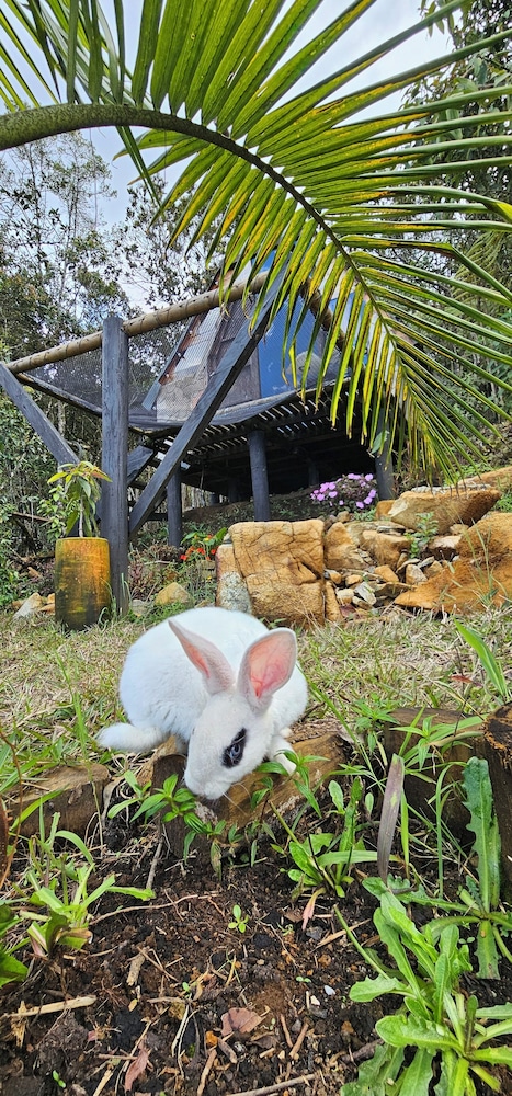 Glamping Volver A La Tierra - Medellín