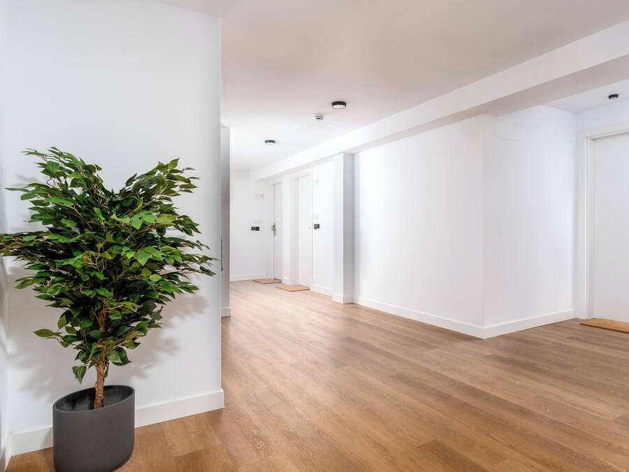 Um corredor com piso de madeira, paredes brancas e um vaso com planta.