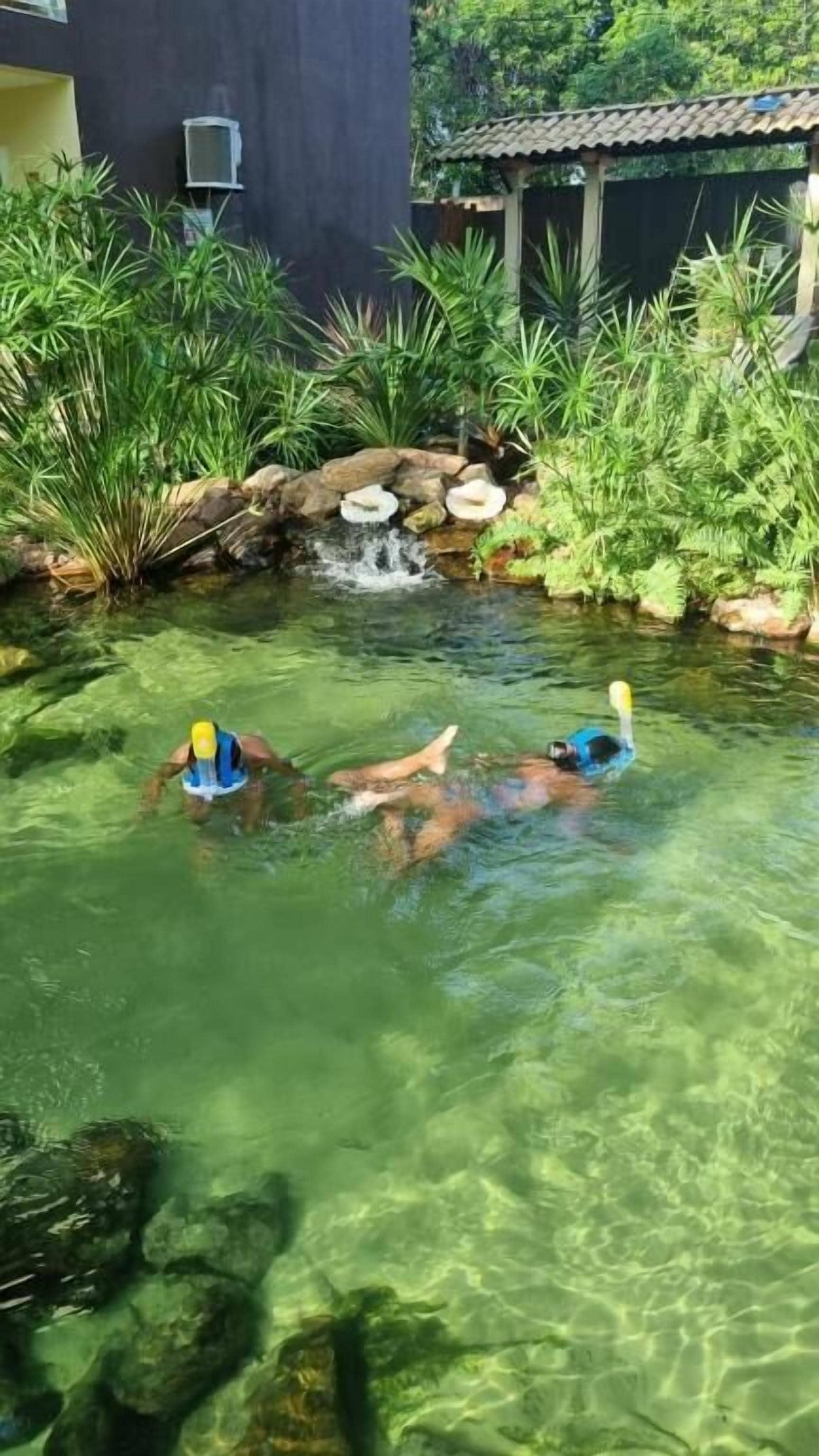 Piscina cristalina com duas pessoas nadando, cercada por vegetação exuberante e uma pequena cascata.