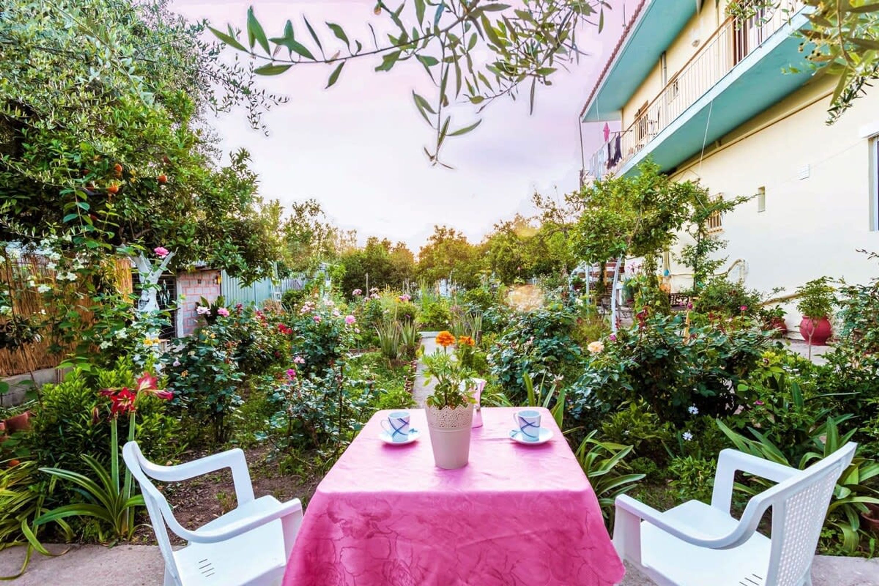 Um pátio com toalha de mesa rosa, duas cadeiras brancas e um vaso de planta.