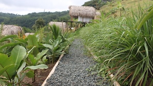 Uma trilha leva a uma construção com telhado de palha, cercada por vegetação exuberante e uma paisagem acidentada.
