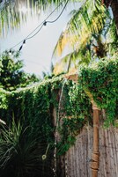Terraço/pátio interior