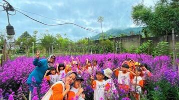 Um grupo de pessoas em um campo de flores roxas.