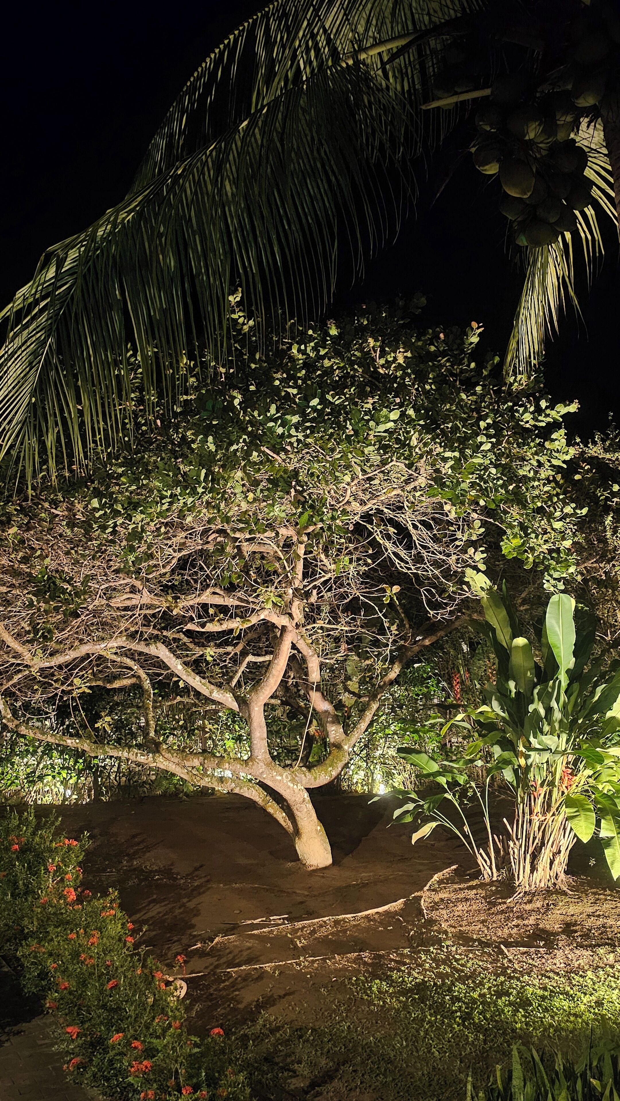 Suíte conforto, varanda coberta, vista para o jardim | Área de estar | TV