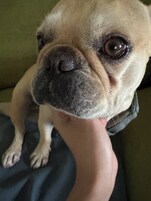 Vila básica, varanda, vista para a montanha | 4 quartos