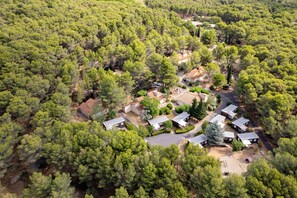 Vista aérea de um bairro residencial com várias casas cercadas por vegetação densa.