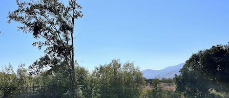 Piscina externa