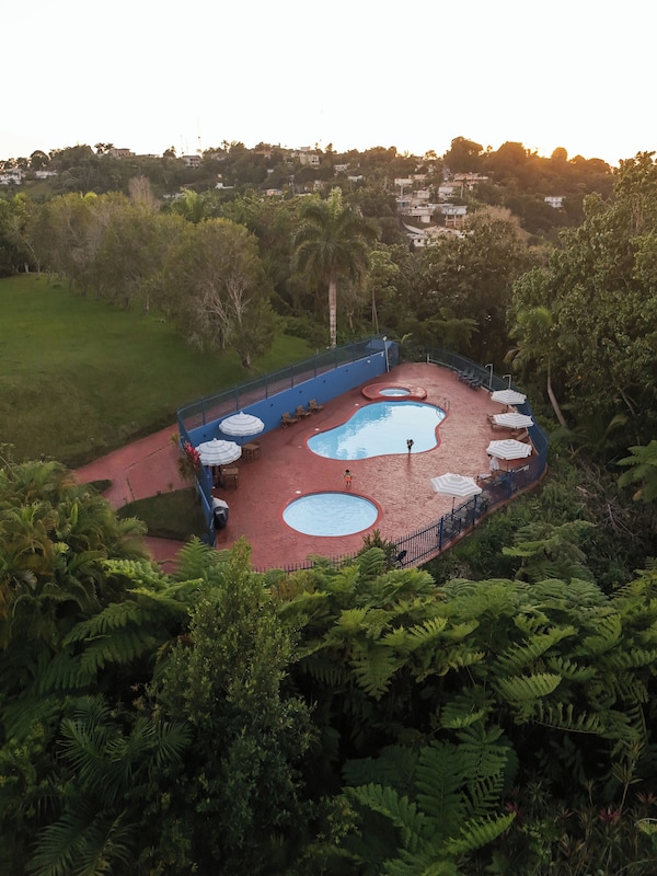 El Oasis Hotel - Rincón