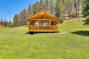 Uma cabana de madeira com varanda, rodeada por um campo gramado e árvores.